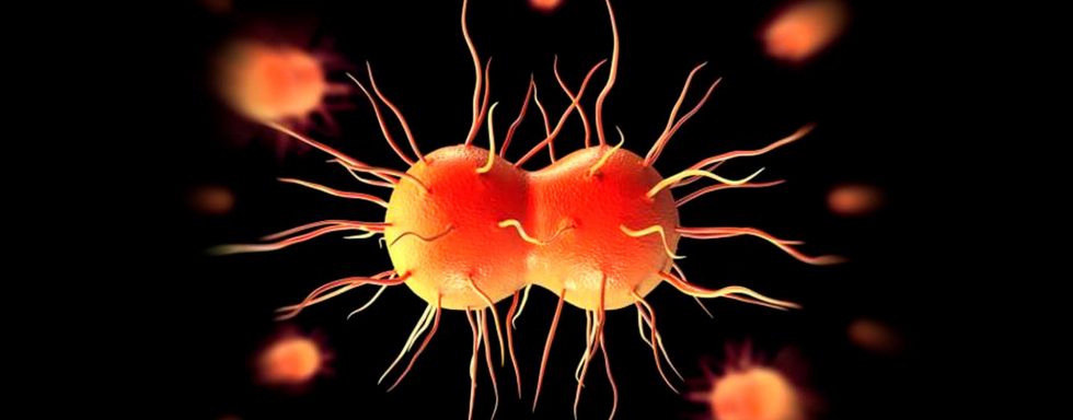 Gonorrea - Urólogo en Guadalajara